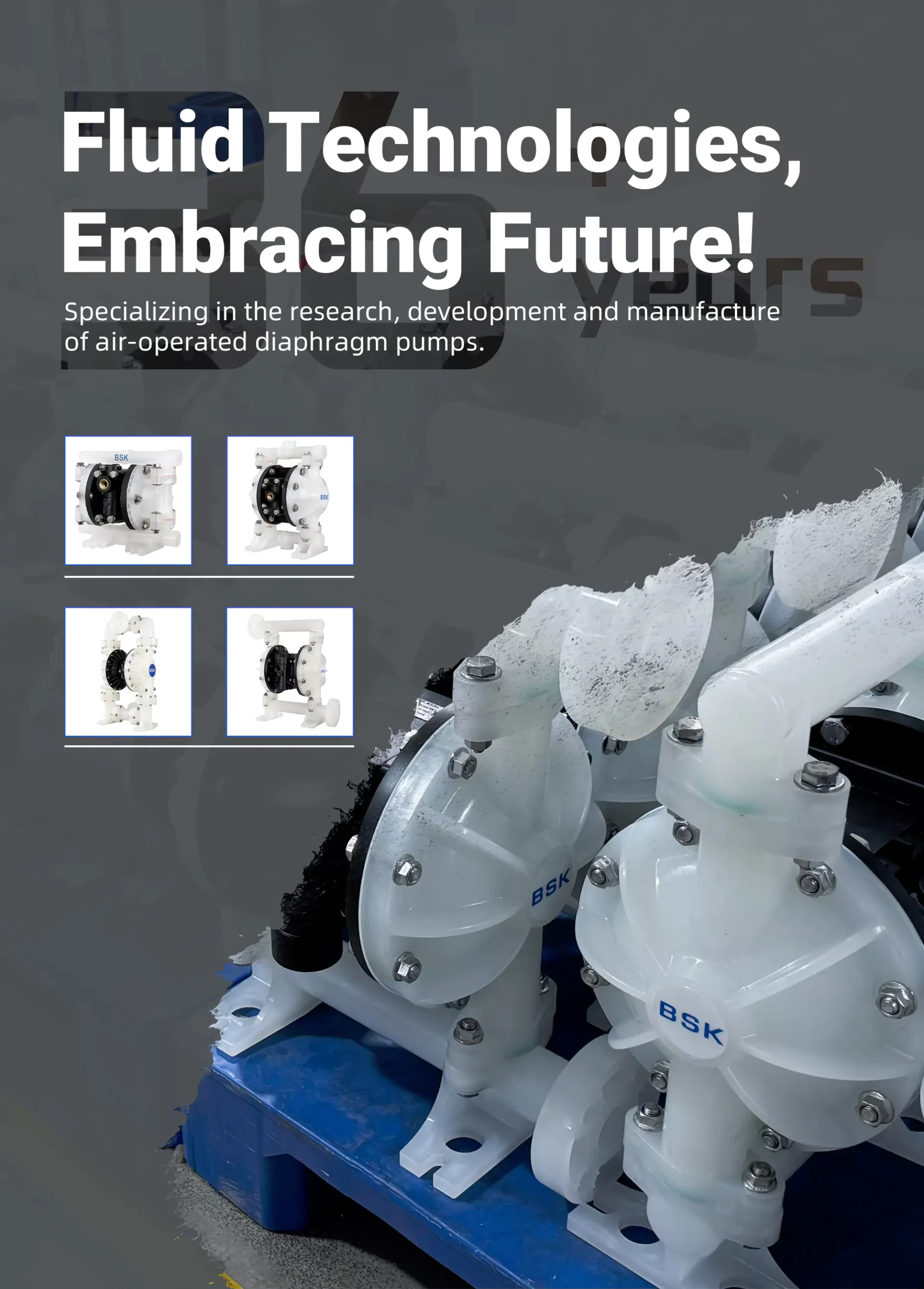 BSK-High-Performance Pneumatic Diaphragm Pumps Manufacturer