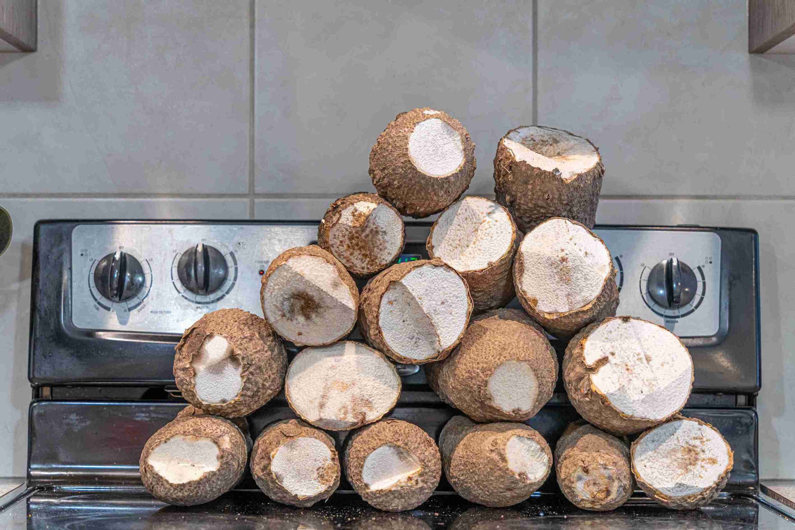 Coconut Processing Efficiency with Diaphragm Pumps