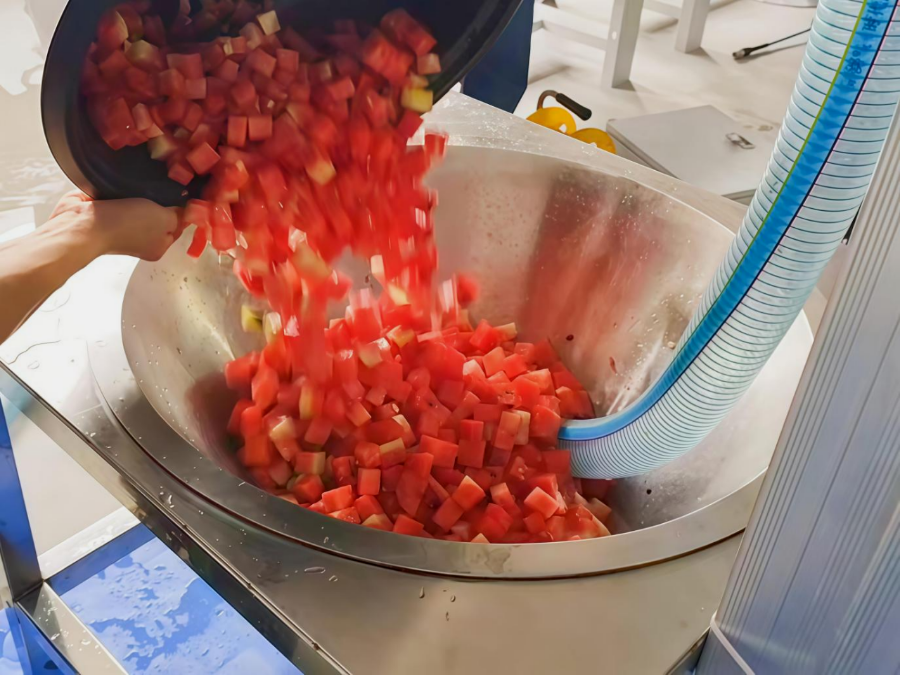 BSK FDA-Certified Sanitary Pumps for Watermelon